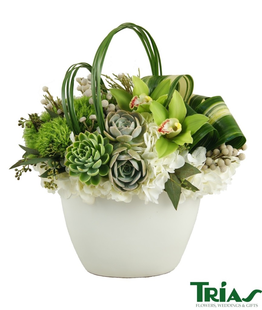 How to Celebrate May Birthdays with Emerald Flowers - Trias Flowers