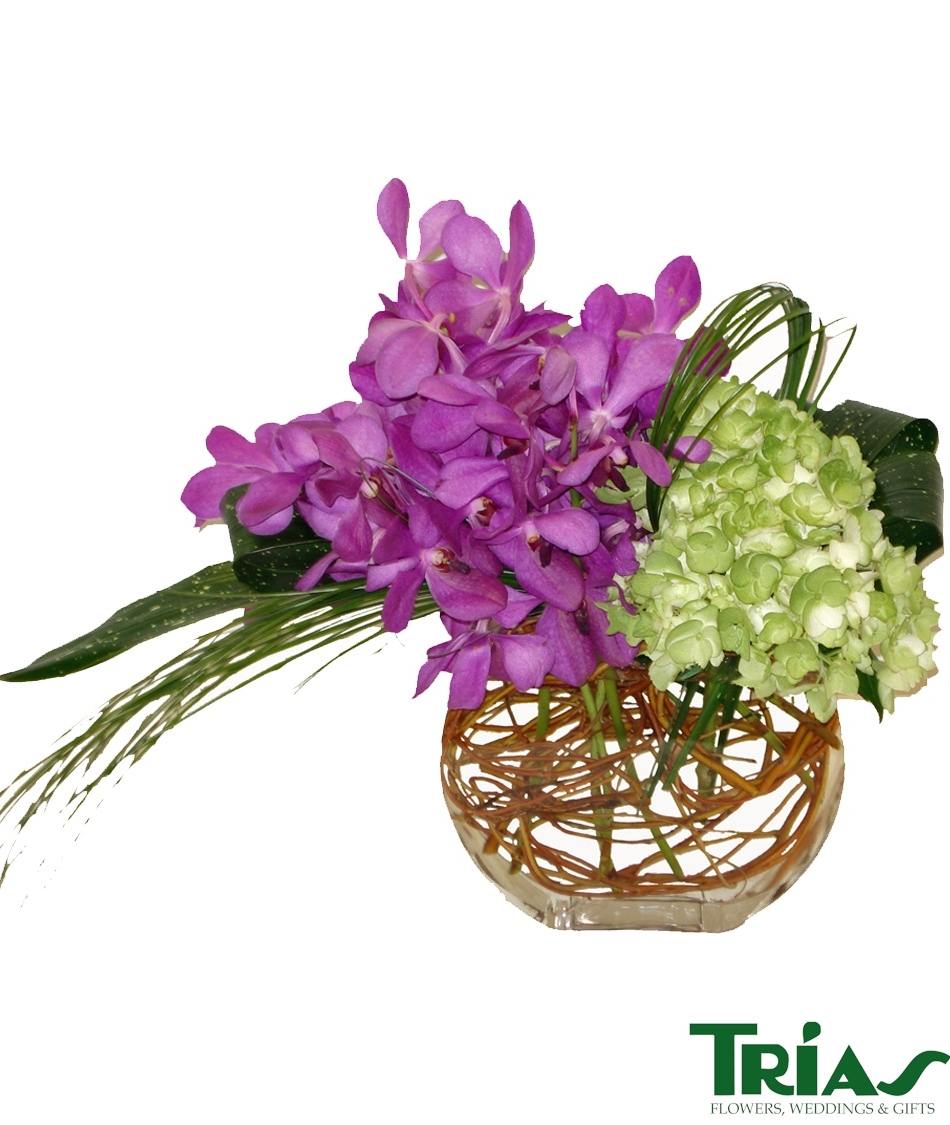 Acts of Kindness and Generosity - Trias Flowers