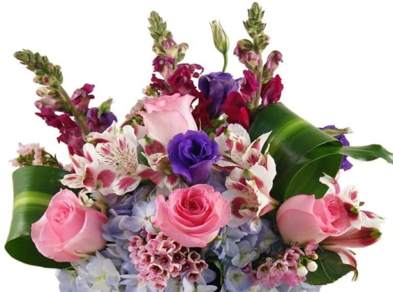 Spring's Sweetest and Most Colorful Flowers - Trias Flowers
