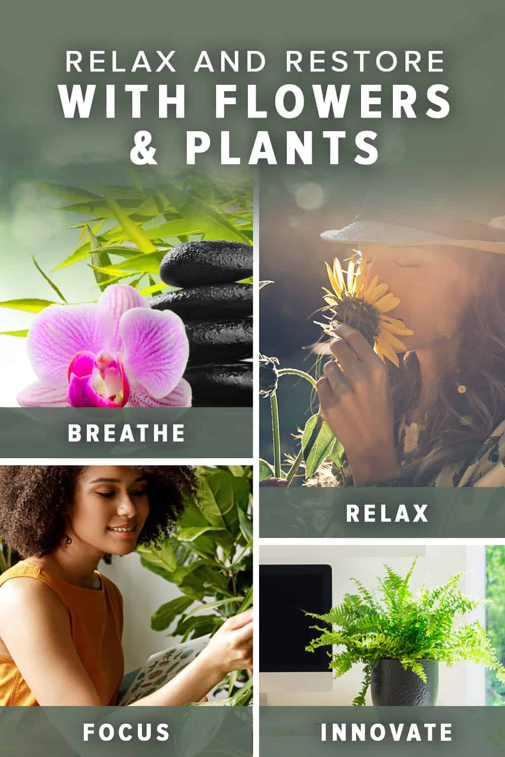 9 Great Reasons for Having Flowers & Plants in Your Life - Trias Flowers