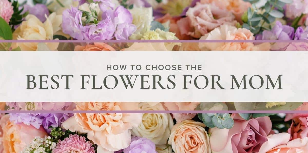 Mom Deserves the Best Flowers - Here's Where You Can Find Them - Trias ...
