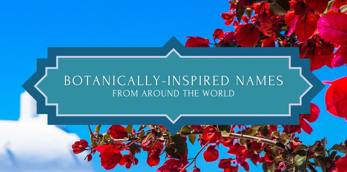 Beautiful Botanical Names for Your Bundle of Joy or Fur Child - Trias ...